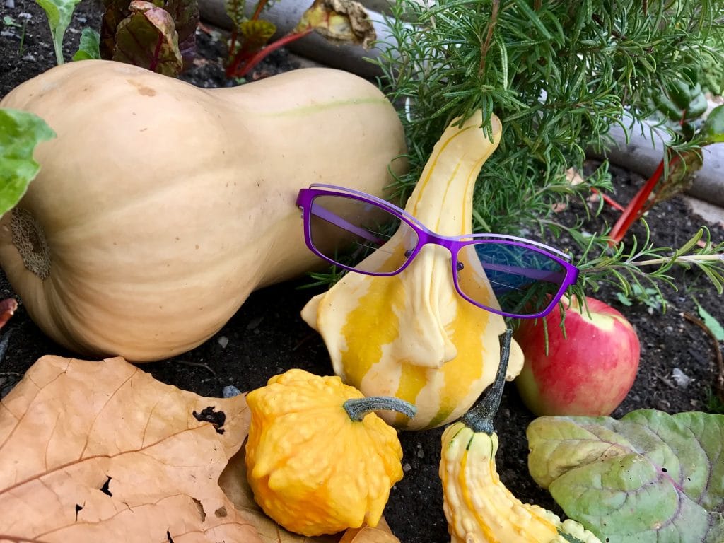 Keep Your Eyes Safe This Halloween Eye Etiquette Optical